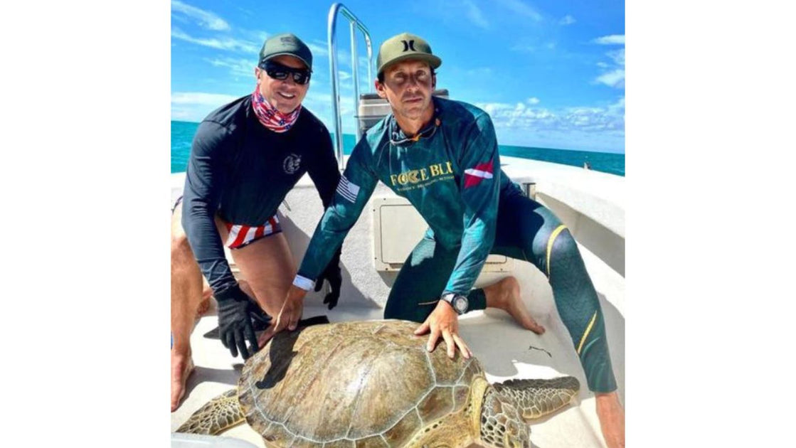 Force Blue. Turtle Tamers – Sunga Life